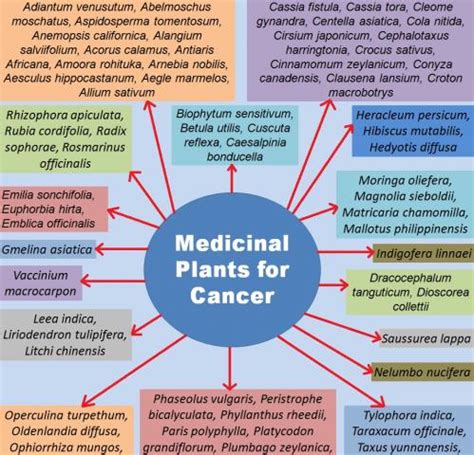 Medicinal Plants For Treatment Of Cancer A Brief Review