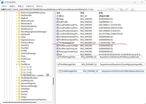 红色警戒2 红警提示fatalstring Manager Failed To Initilaized Properly三十一度