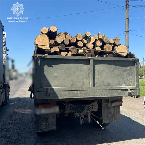 Патрульні виявили водія який перевозив деревину без відповідних документів ТВА