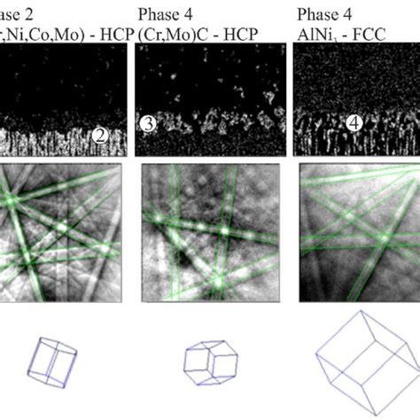 Ebsd Analysis Showing Crystallographic Structure Distribution Maps Of Download Scientific