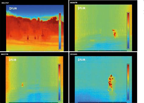 Figure 1 From Deep Learning Based Border Surveillance System Using Thermal Imaging Semantic