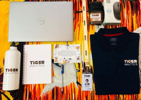 Binu Ganesh S On Linkedin Tigeranalytics Tigertribe Analytics