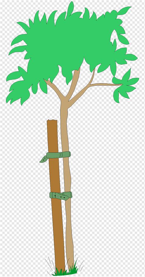 캡슐화 된 포스트 스크립트 트리 스텀프 트리 어린이 잎 텍스트 Png Pngwing