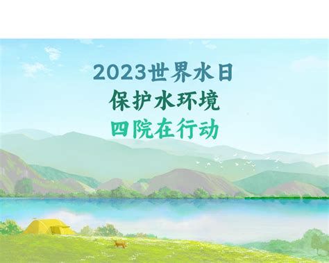 那些年我见过的碧水清波 澎湃号政务 澎湃新闻 The Paper