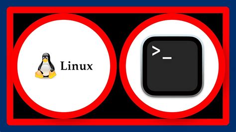 How Do I Execute Multiple Commands When Using Find Youtube