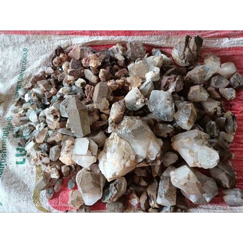 โป่งข่ามปลวกเขียว ถูกที่สุด พร้อมโปรโมชั่น ธ ค 2022 Biggoเช็คราคาง่ายๆ