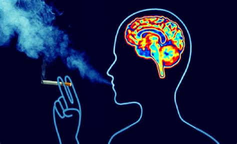 Smoking Effects On The Brain