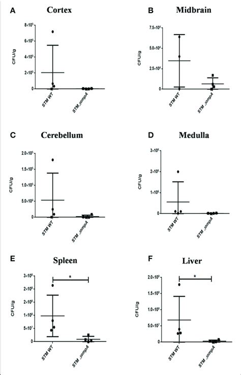 Role Of Ompa In Brain Invasion Cfu Burden In A Cortex B
