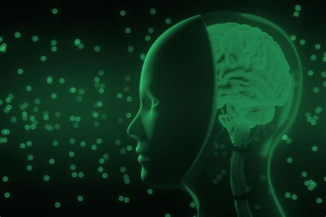 How To Add Indicators And Edit Charts In MetaTrader Eightcap Labs