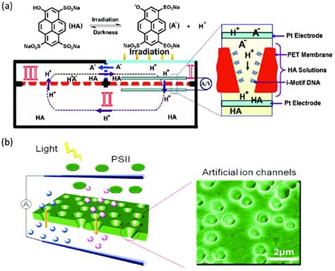 Principle Of Photoelectric Cell At Mitchell Barclay Harvey Blog