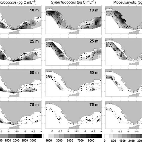 Horizontal Distribution Of Prochlorococcus Left Panels Synechococcus Download Scientific