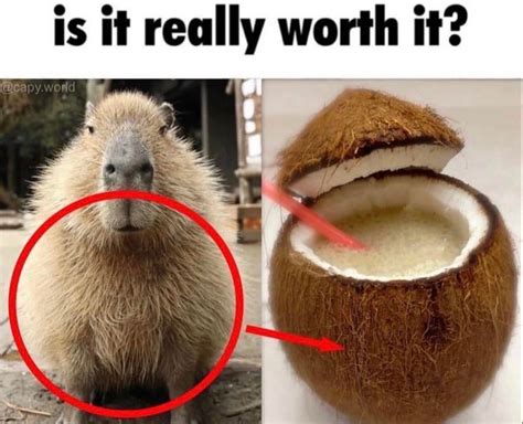 Пин на доске Jaycore