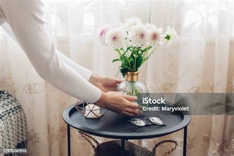 여자는 테이블에 꽃 달리아와 꽃병을 두고 아파트에서 아늑함을 돌보는 주부 인테리어 와 장식 꽃 식물에 대한 스톡 사진 및 기타 이미지 Istock