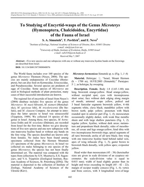 Pdf To Studying Of Encyrtid Wasps Of The Genus Microterys