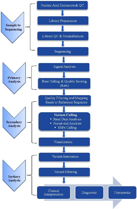 Next Generation Sequencing An Approach From Sample To Analysis Download Scientific Diagram