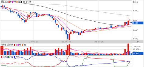 2차전지배터리 소재 분리막 관련주