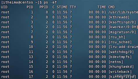 Linux知识之进程linux 进程的名称和进程的cmd是什么关系 Csdn博客 Linux知识之进程linux 进程的名称和进程的cmd是什么关系 Csdn博客