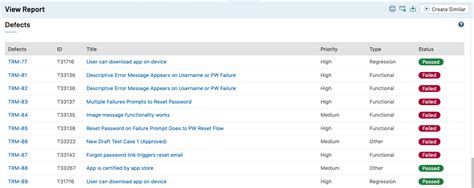 Summary Defects Report Gurock