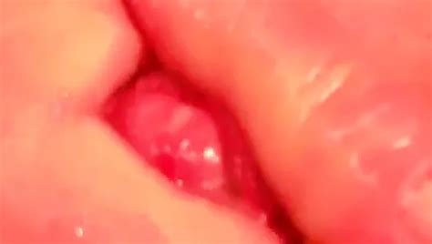 Free Close Up Cumshot Porn Videos 235 Xhamster
