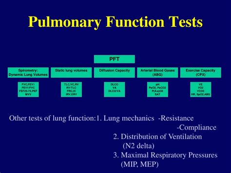 Ppt Pulmonary Function Tests Powerpoint Presentation Free Download