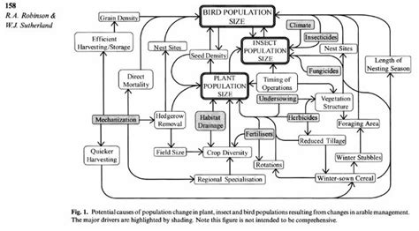 Biodiversity Flow Diagram
