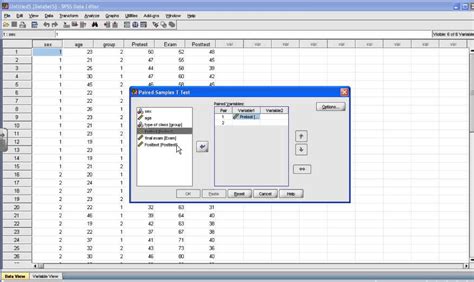 SPSS Tutorial Paired Sample T Test YouTube