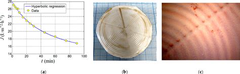 Figure 1 From Application Of Surface Modified Nanoclay In A Hybrid