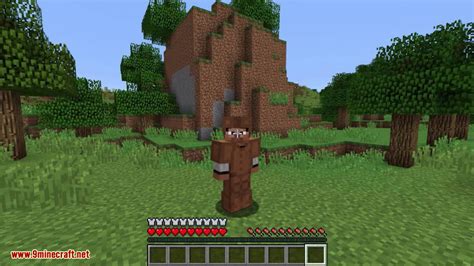 Cosmetic Armor Reworked Mod Become Anything Mc Mod Net