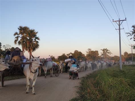 Dvb စစ်ကိုင်းတိုင်းအတွင်း ရက်စက်မှုအပေါင်း သရဖူဆောင်းခဲ့သည့် စစ်တပ်န
