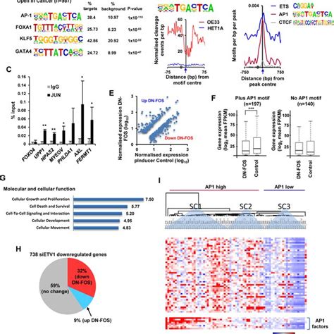 Atac Seq Reveals Open Chromatin Regulatory Regions In Oac Cell Lines Download Scientific