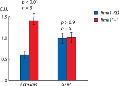 Figure 1 From Lim Kinase 1 Effects On Memory Abilities And Male