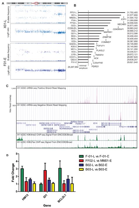Copy Number Variation Occurrence In Human Es Cell Lines During