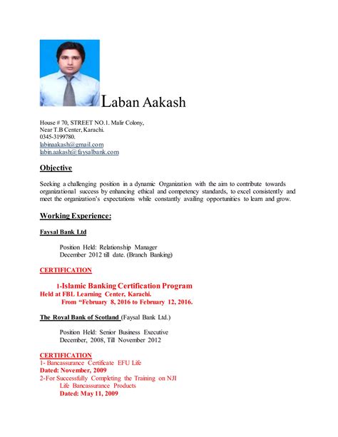 labin aakash cv updated pdf
