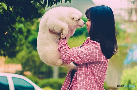 犬を飼う前の心構え