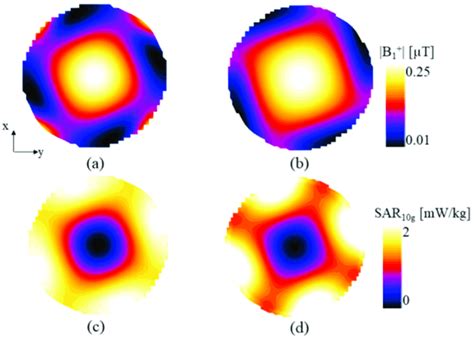 Computed B 1 Field For The A Bc And B T Mtl Array Sar Maps