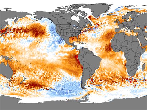 Current Ocean Temperature Map Alanna Leontyne