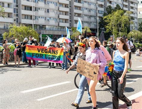 Lgbtq Pride Parade Lgbt Rainbow Flags Colorful Carnival Crowd Gay