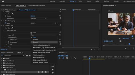 Using Cameras Color Match In Premiere Pro Motion Array