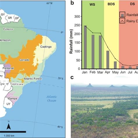 Location Of The Brazilian Cerrado And Its Annual Rainfall Cycle A Download Scientific
