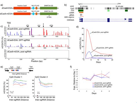 Figure 1 From Reprogrammable Crisprcas9 Based System For Inducing Site Specific Dna Methylation