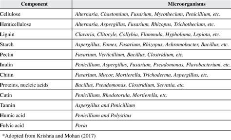 Microorganisms For Decomposition Of Various Litter Component Download Scientific Diagram
