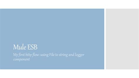 Mule Esb File To String Flow Pptx