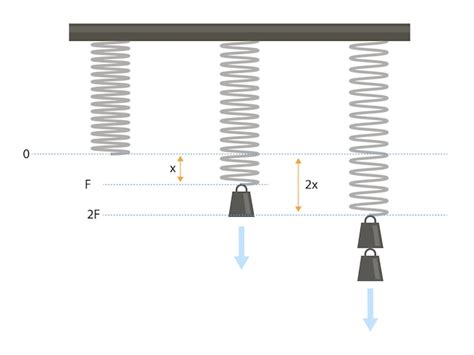 Premium Vector Hookes Law Physics Spring Force Weight Equation And