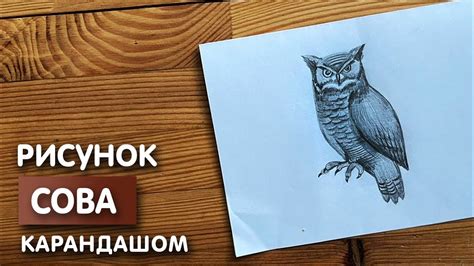 Как нарисовать сову карандашом Рисунок для начинающих поэтапно Youtube