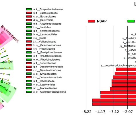 Gut Microbiota With Significantly Different Relative Abundance Between