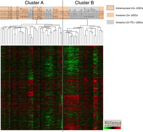 Unsupervised Hierarchical Cluster Analysis Of Array Based Comparative
