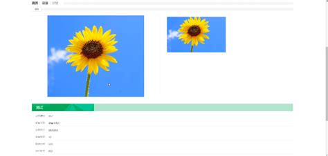 基于springboot相机租赁管理系统的设计与实现源码lw调试文档相机出租平台小程序开发毕设 Csdn博客