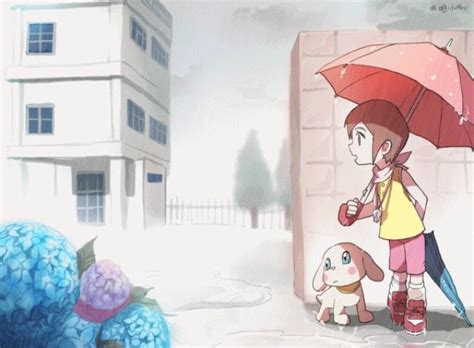 Best Images About Digimon Kari On Pinterest Digimon Crests And Posts