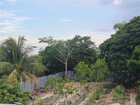 ขายที่ดินพร้อมบ้านสวน เนื้อที่ 2 1 2 ไร่ ตำบลระเเหง อำเภอลาดหลุมเเก้ว จังหวัดปทุมธานี Ennxo