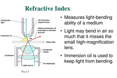 Ppt Ch 3 Observing Microorganisms Through A Microscope Powerpoint Presentation Id2377898 Ppt Ch 3 Observing Microorganisms Through A Microscope Powerpoint Presentation Id2377898